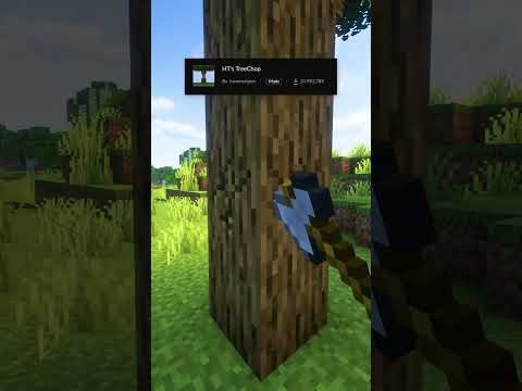Minecraft BEST Mods #shorts