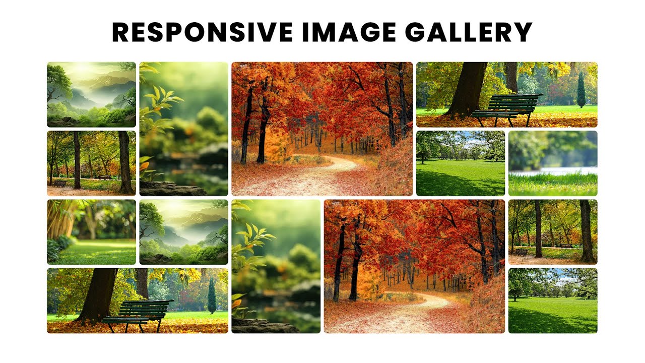 Grid tutorial || CSS Project || Responsive Image Gallery