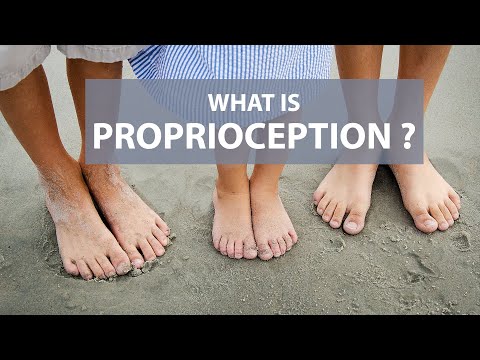 What is Proprioception?