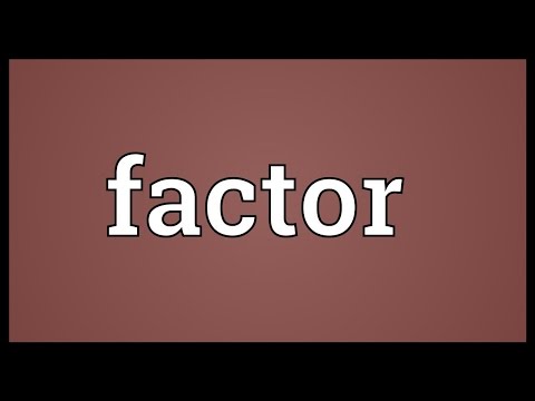 Factor Meaning