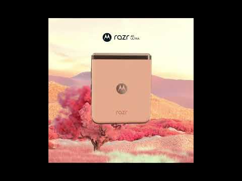 Meet the new motorola devices in the Pantone Color of the Year 2024, Peach Fuzz.
