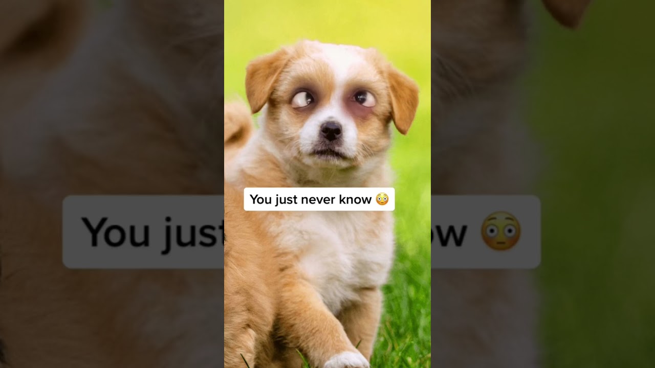 Call me paranoid Or skitzo idc but I always check the Air BnB’s for spycams and intruders 👀