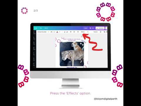 How To Add Curved Text On Canva