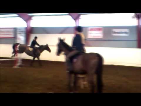 Jumptraining Heidi&Silas - Marie&Werbel