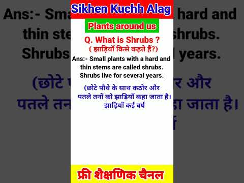 What is Shrubs? झाड़ियाॅं किसे कहते हैं? #plantsaroundus #science #sikhenkuchhalag #quiz #shorts