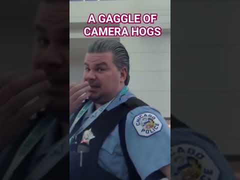 followed by a bunch of cops at the Midway airport