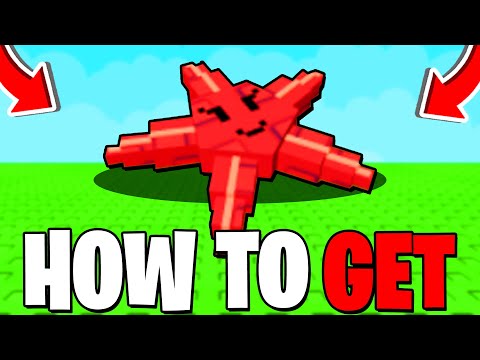 How To GET STARFISH PET & SHOWCASE In Grow A Garden! Roblox