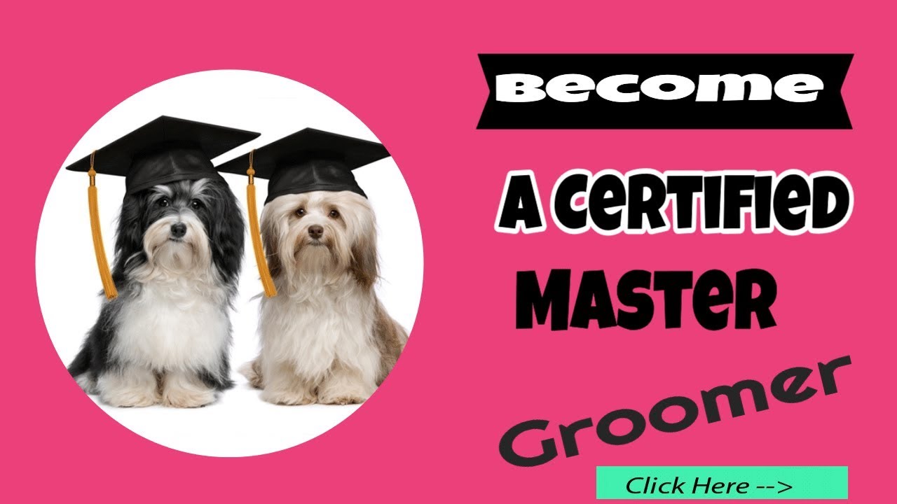Master Groomer Certificate - Certified Master Groomer Certificate