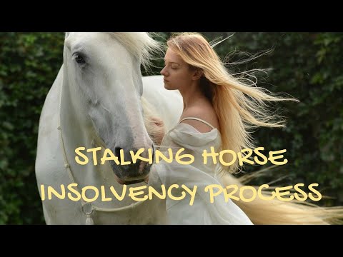 STALKING HORSE INSOLVENCY PROCESS: OUR BEST GUIDE TO GET YOUR M&A DEAL DONE