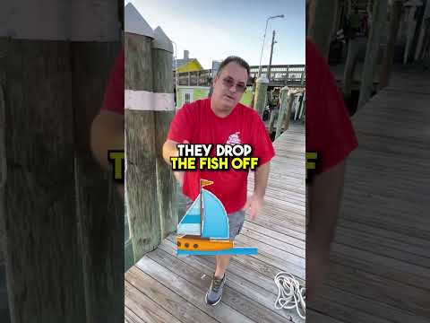 A Secret to Getting Fresh Fish Everyday in St Pete Florida