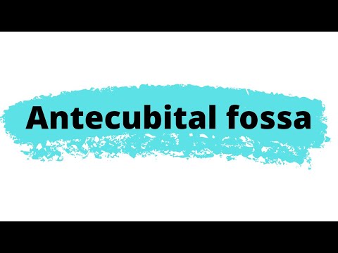 what is antecubital fossa || antecubital fossa definition || antecubital fossa