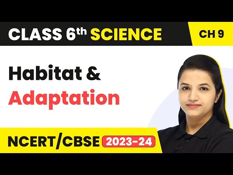 Class 6 Science Chapter 9 | Habitat & Adaptation - The Living Organisms Characteristics & Habitats