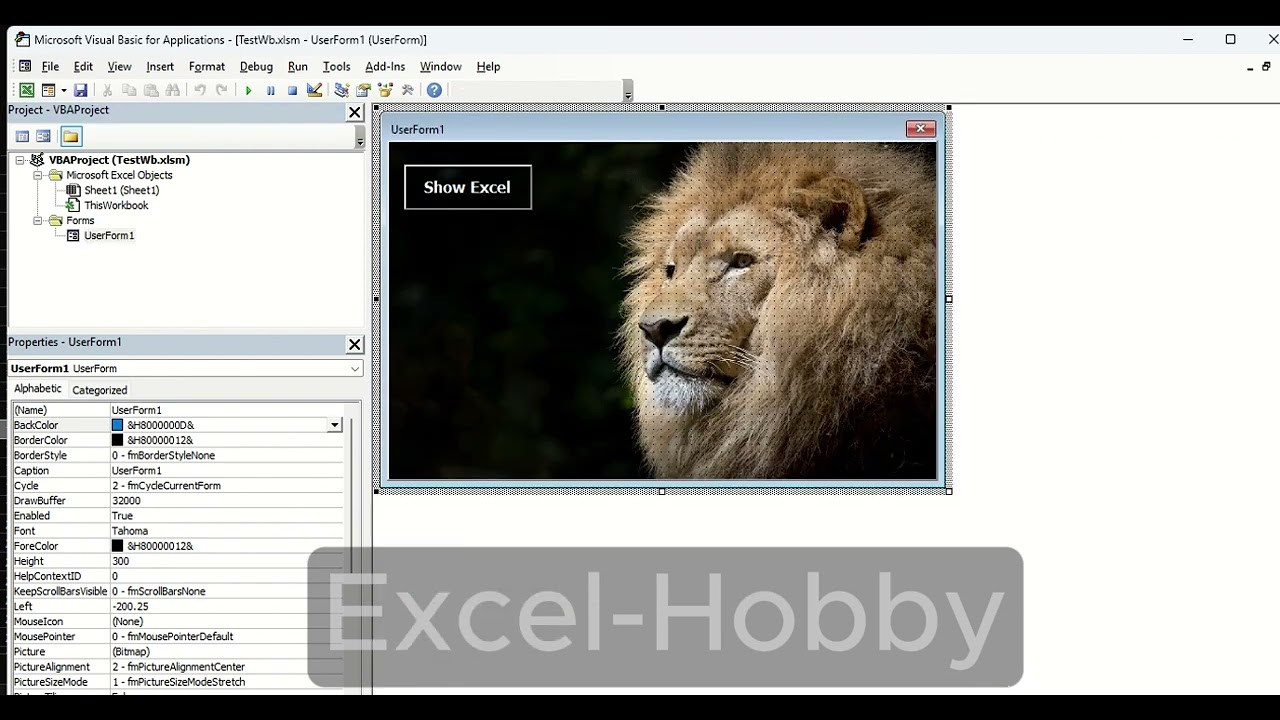 Moving Excel Form (VBA)
