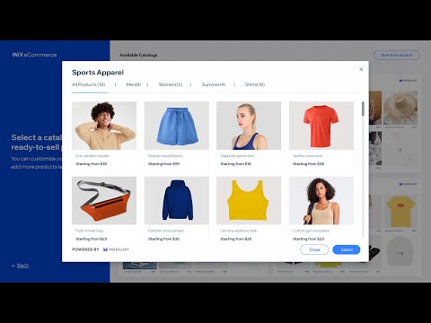 Grow a Successful Dropshipping Business with Wix eCommerce