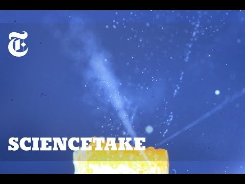 The Hidden Power of Squirting Fruit | ScienceTake