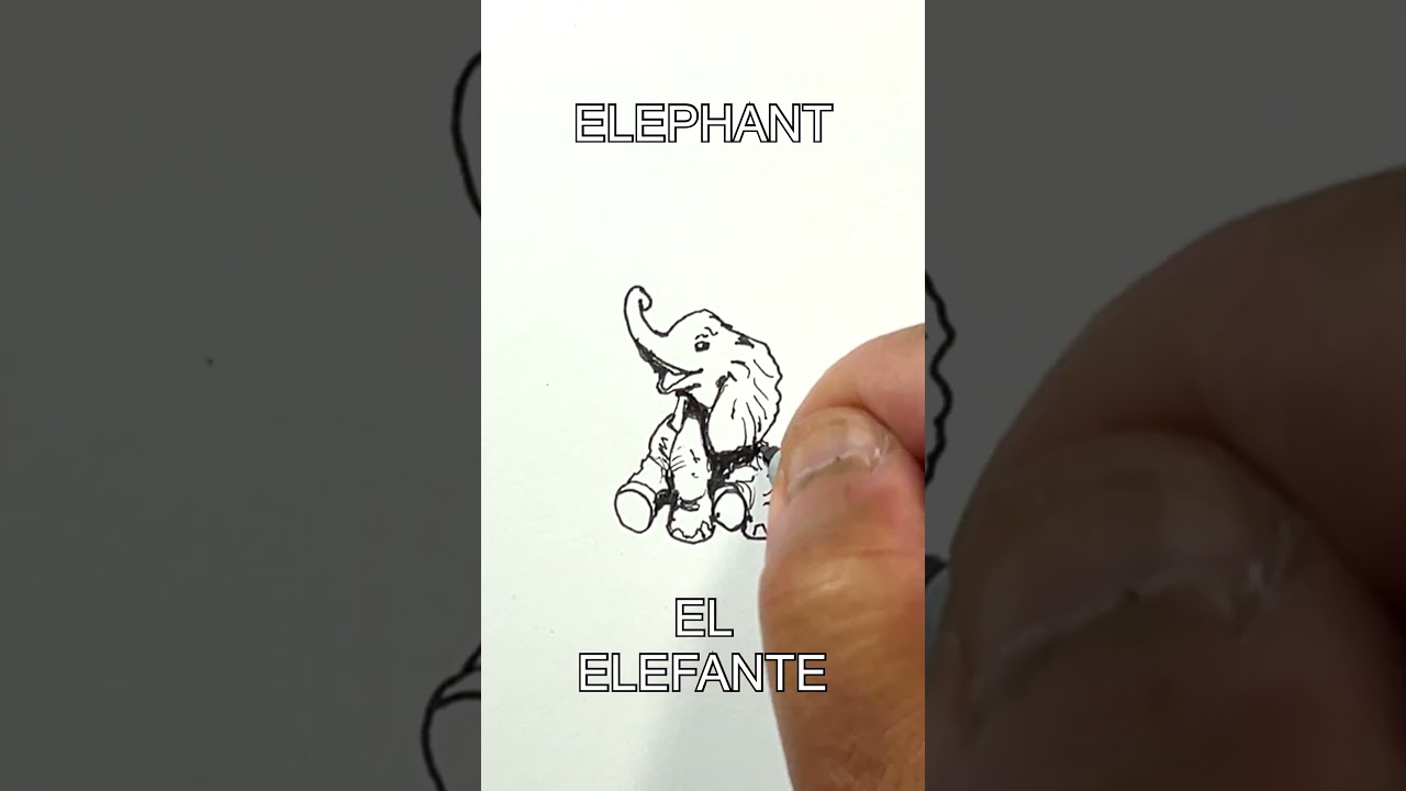 ELEPHANT . ELEFANTE Learn Spanish! ¡Aprenda Inglés! #drawing #foreignlanguage #spanish #ingles