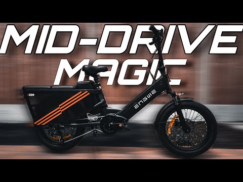 Engwe LE20 Review (my first ever 3 person e-bike)