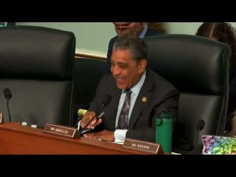 Rep. Espaillat's Remarks on Second Ave Subway and Open Skies during DOT Budget Hearing