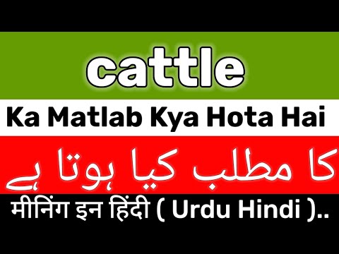 Cattle Meaning | Cattle Meaning In Urdu | Cattle Ka Matlab Kya Hai | Cattle Ka Meaning Kya Hai