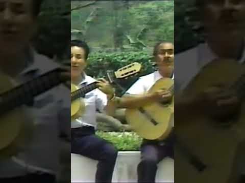 Los Errantes de Chuquibamba/Me retiro/Huayno Arequipa #shorts