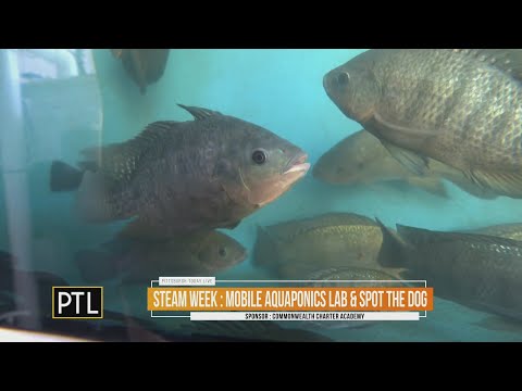 Inside the Commonwealth Charter Academy's Mobile Aquaponics Lab for STEAMfest
