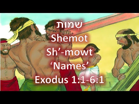 Names (Torah Portion: Shemot) 2020 - 2021