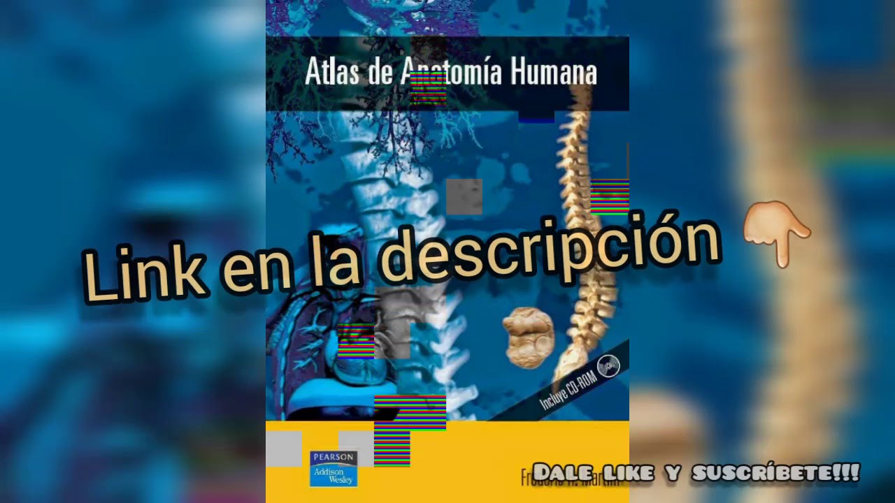 Libro de Atlas de Anatomía Humana de Martini - Descargar | PDF | Todos los libros