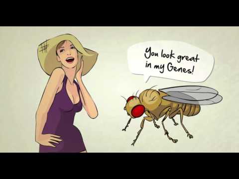 WHAT IS A GENE?