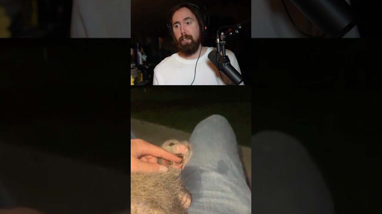 Found A New Pet