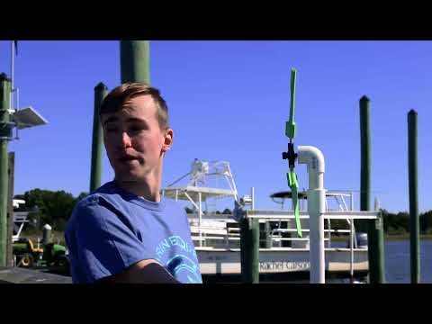 UNCW MarineQuest is Excited for this Summer!