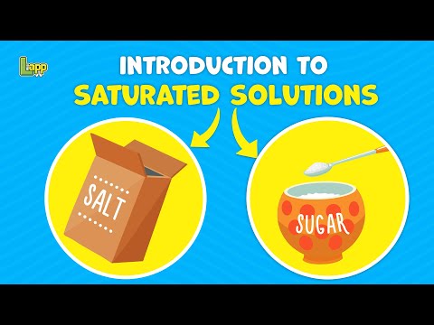 What is a Saturated Solution? | Solubility & Heating Explained for Kids | Fun Science with Salt