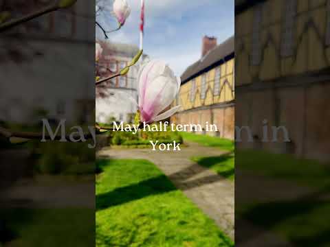 May half term in York