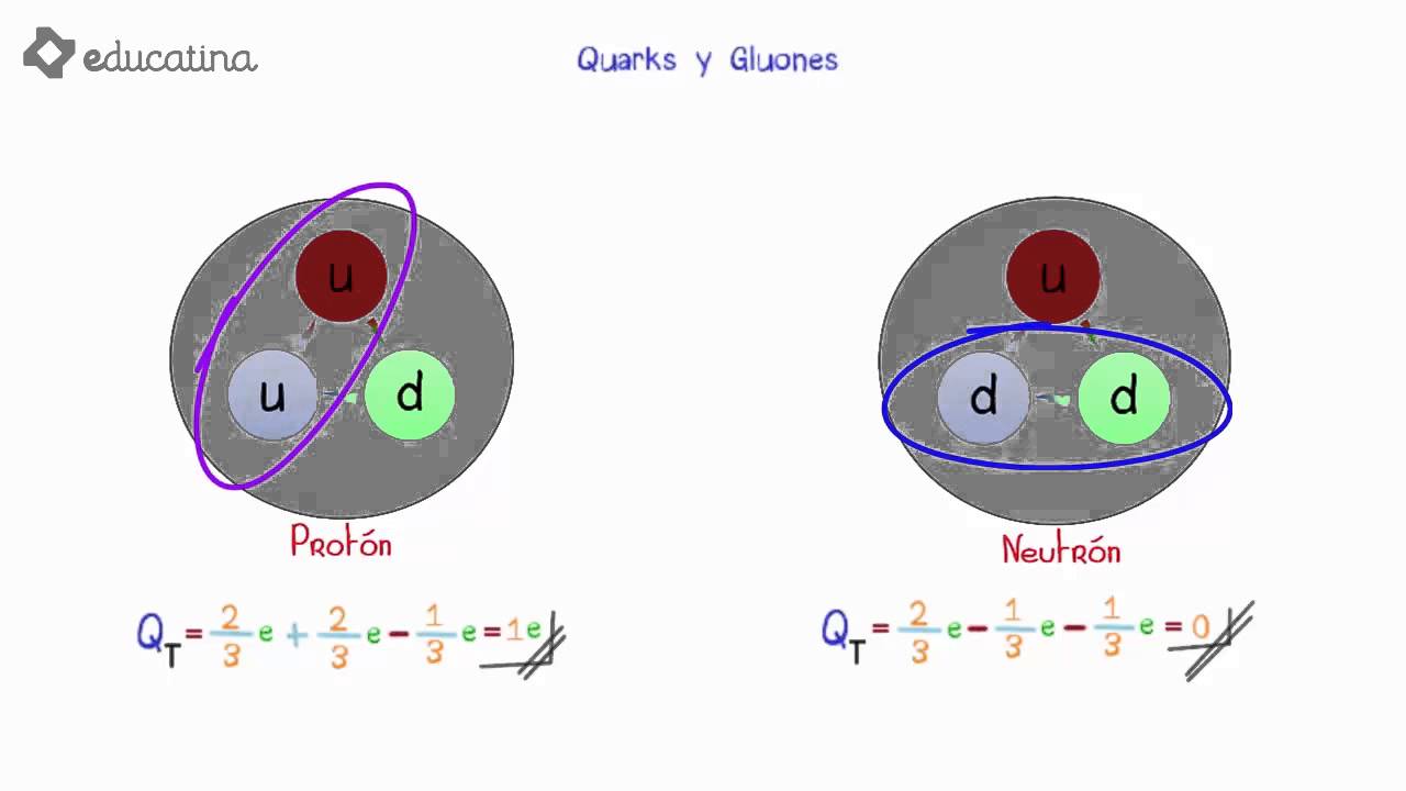 Educatina - Quarks y Gluones