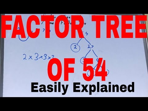 Factor tree of 54|How to draw factor tree of 54|Find factor tree of 54|54 factor tree explained