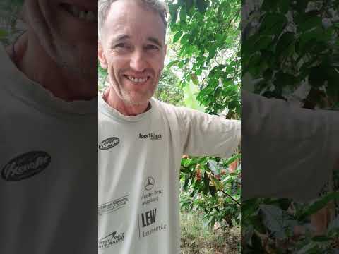 My first learning about Bee Keeping with Apis Mellifera ๐