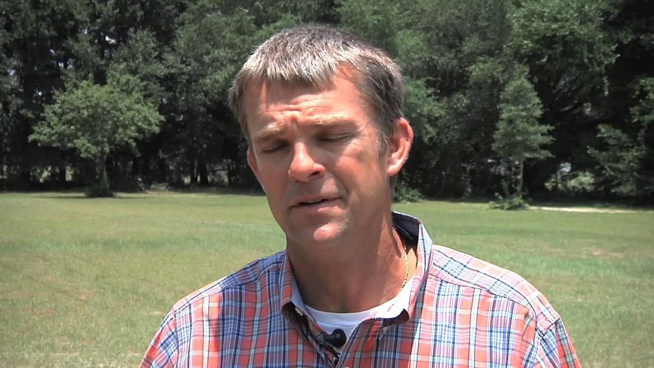 Destructive Carpenter Bees Can Be Controlled