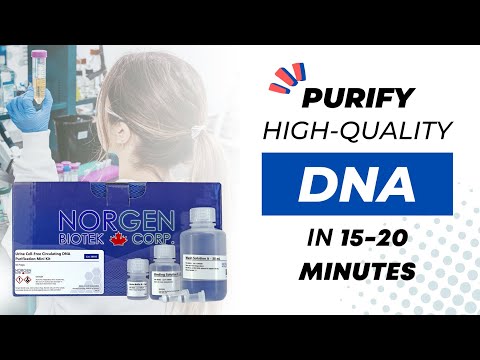 Urine Cell-Free Circulating DNA Purification Mini Kit | Cat. 56600