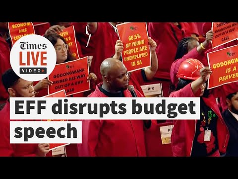 EFF hold up placards “insulting” minister of finance during mid-term budget speech