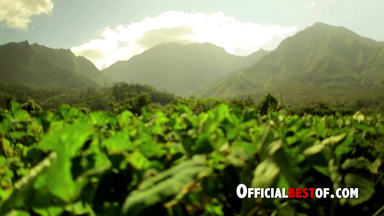 Hire Doug and Sandy McMaster - Acoustic Band in Hanalei, HI | GigSalad