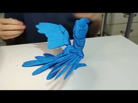 STL file Scarlet Macaw Articulated Figure 🦜 ・3D printer model to ...