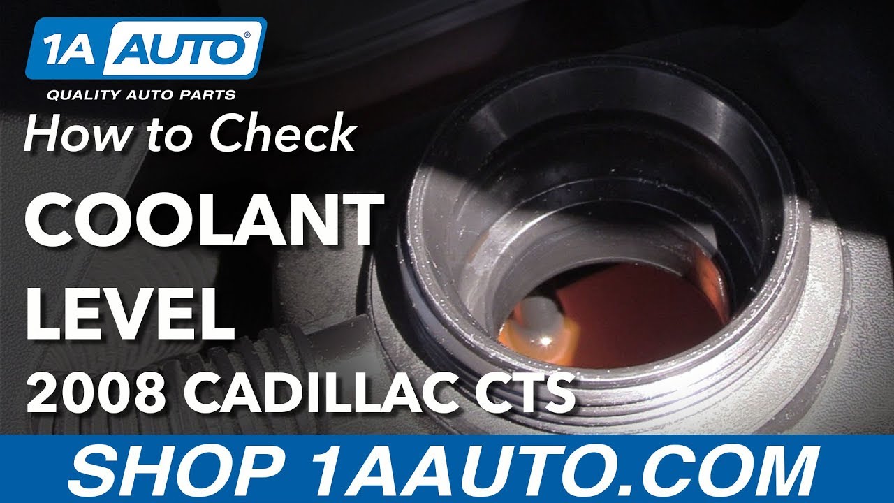 How to Check Coolant Fluid 08-14 Cadillac CTS
