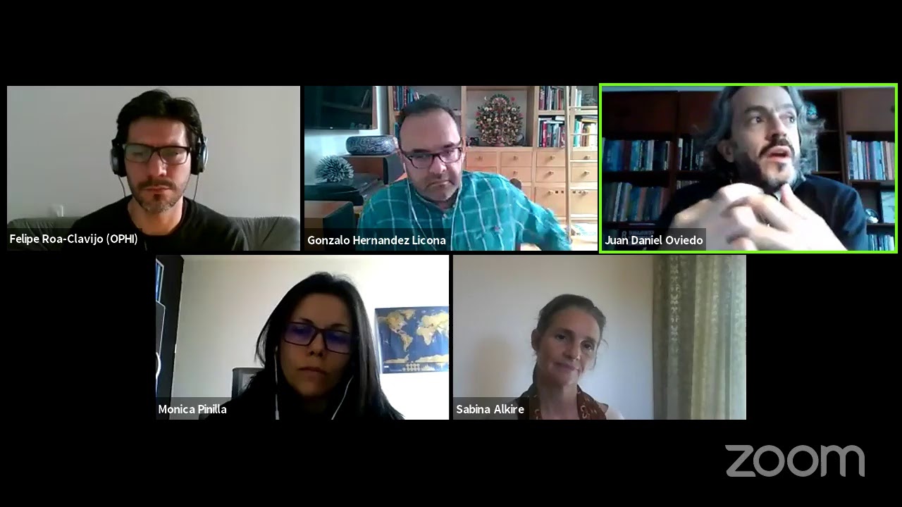 Using the MPI as a tool for crafting government responses to the COVID-19 pandemic, 2020