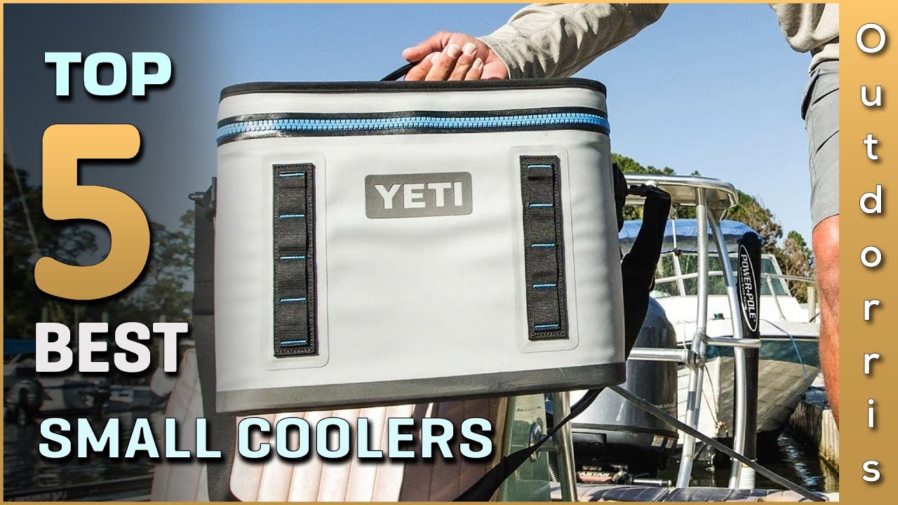 Top 5 Best Small Coolers Review in 2025