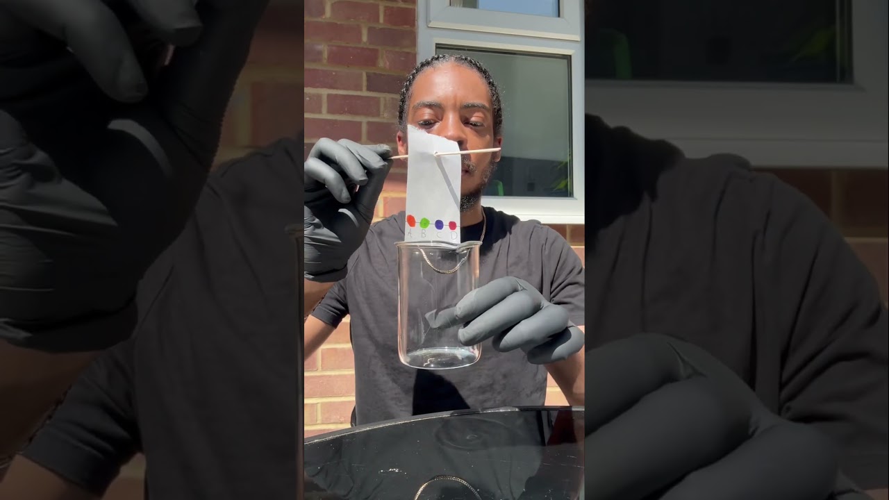 Chromatography experiment from my book, ‘Science is Lit’ 🌟 #science #chemistry #experiment