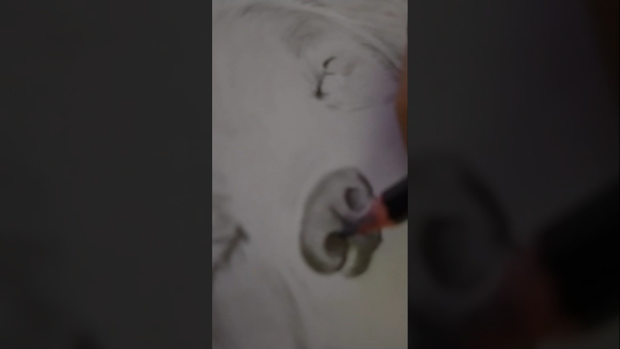 Hora do Rabisco 🐶