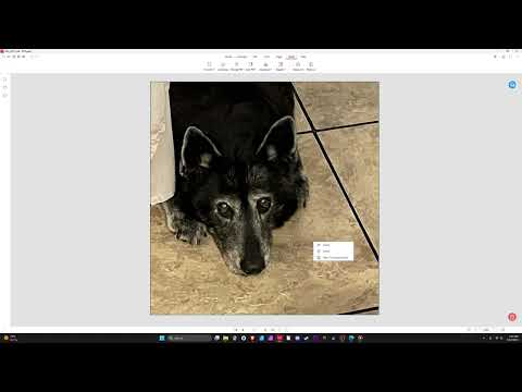 Adobe Acrobat Alternative - Convert Image to PDF and Add Signature and Text