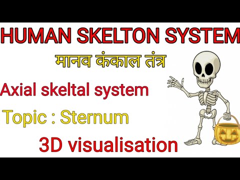 Human skelton System in Hindi । Axil Skelton system। Sternam Location ,morphology, Function in Hindi