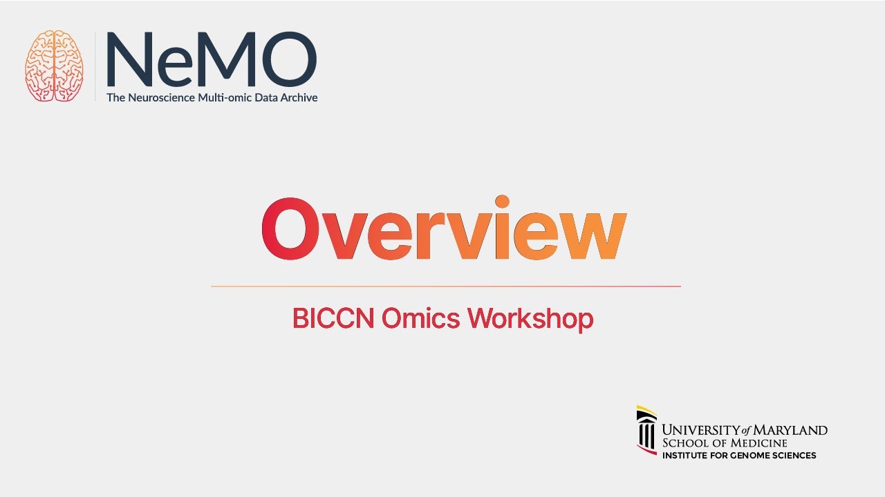 BICCN Workshop - Overview