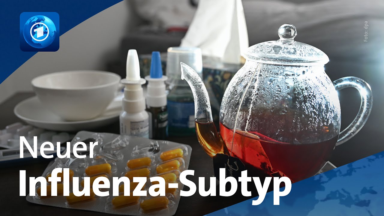 Grippesaison: neuer Influenza-Subtyp