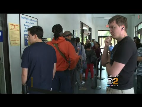 DMV Blames Unusually Long Lines On Demand For New I.D.
